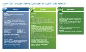 COMITÉ MARTINIQUE – IFRECOR.FR